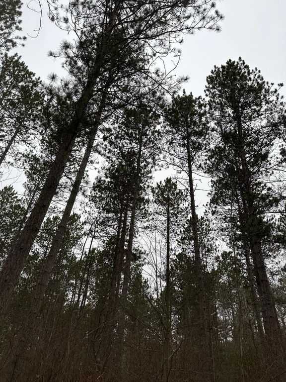 4301 Swamp Creek Rd #4069-5, Jackson, MT 59736 | MLS# 215513 - Trulia ...