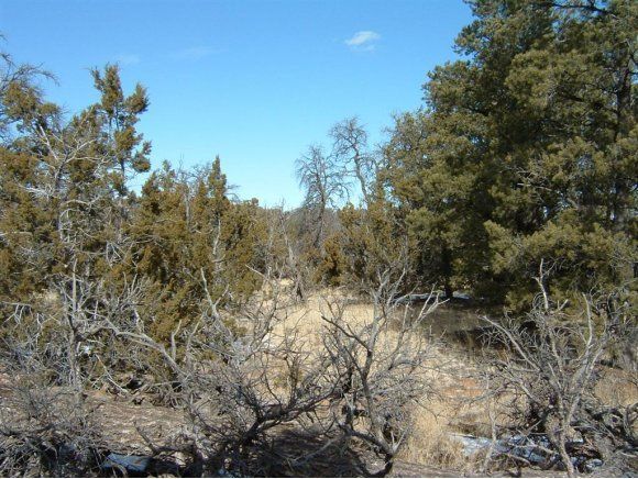 245 E South Rim Ranch Rd, Williams, AZ 86046 - See Est. Value, Schools ...