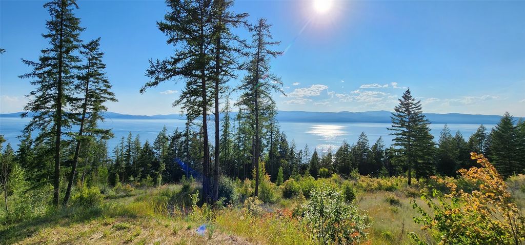 17909 Wolf Creek Ln, Bigfork, MT 59911 - See Est. Value, Schools & More