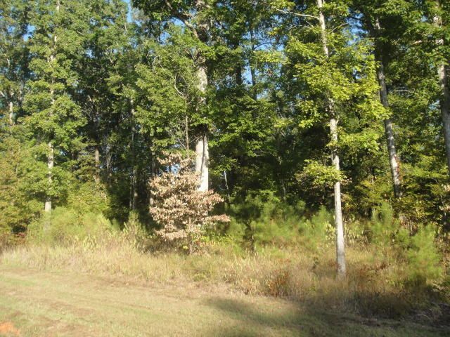 Bent Tree Trail, Columbus, MS 39705 | Trulia