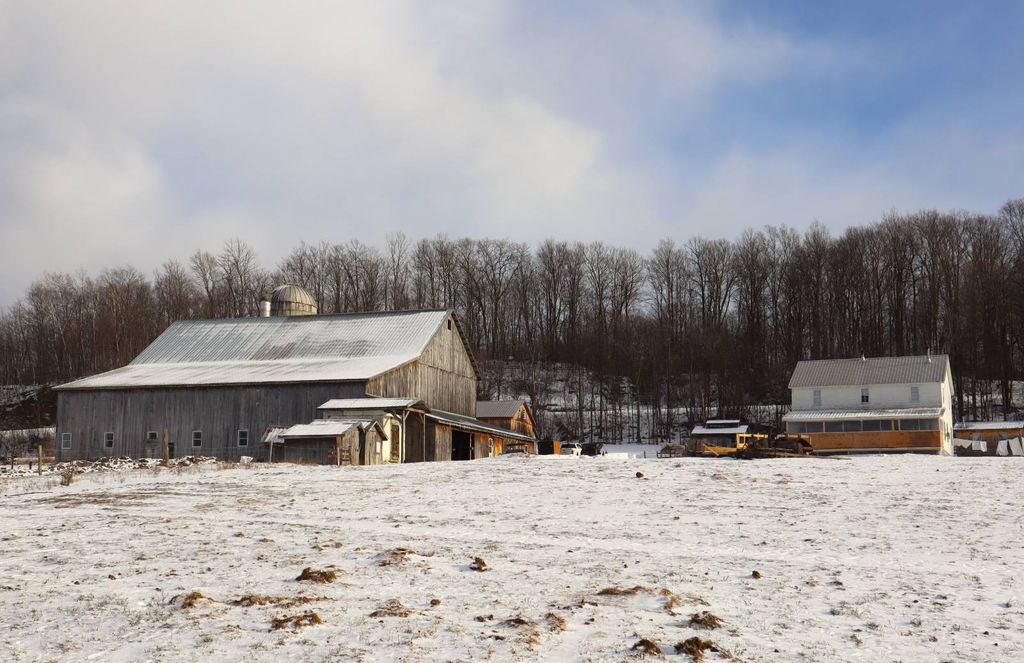 257 County Route 11, Whitehall, NY 12887 | MLS# 11636022 - Trulia | Trulia