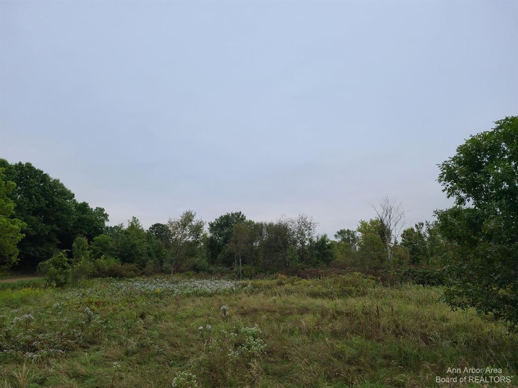 Dewey Rd, Munith, MI 49259 | Trulia