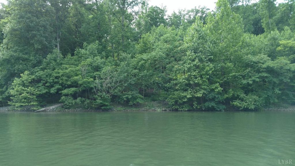 Somerset Cove Rd #1, Union Hall, VA 24176 - See Est. Value, Schools & More