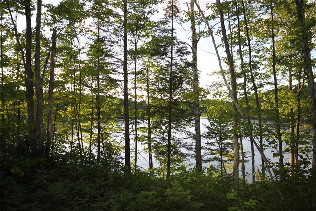 Lot 1 Timber Wolf Drive, Springbrook, WI 54875 | MLS# 1596740 | Trulia