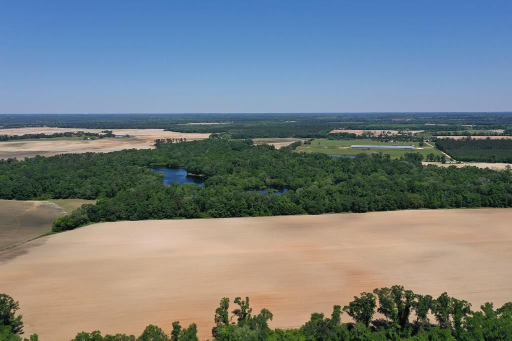 210 Jernigan Rd, Gordon, AL 36343 - See Est. Value, Schools & More