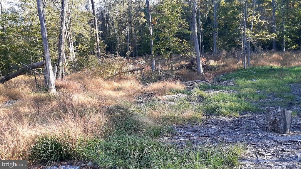 Stewart Hill Rd, Adamstown, MD 21710 - See Est. Value, Schools & More