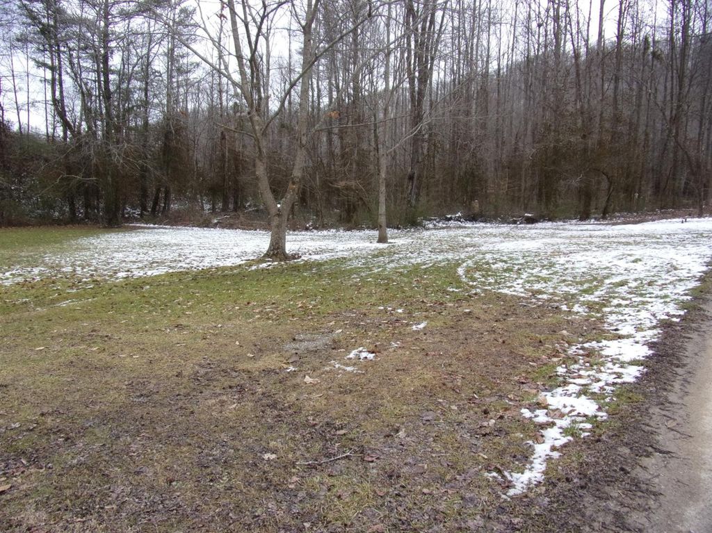 1 Roselawn Dr, Baxter, KY 40806 | Trulia