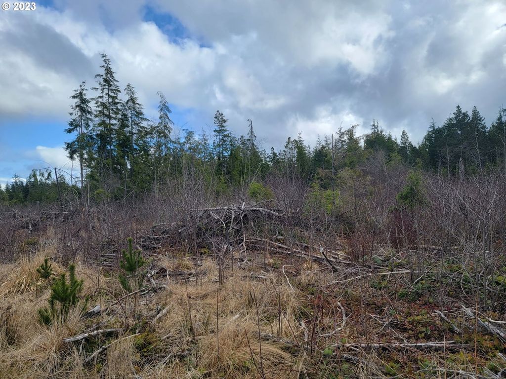 Ocean beach Rd, Copalis crossing, WA 98536 - See Est. Value, Schools & More