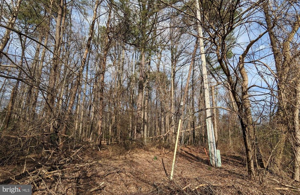 12910 Fletchertown Rd, Bowie, MD 20720 | Trulia