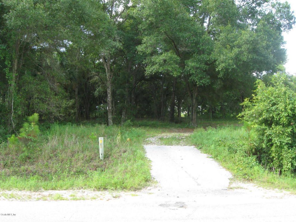 SE 27th Place Rd, Ocklawaha, FL 32179 | Trulia