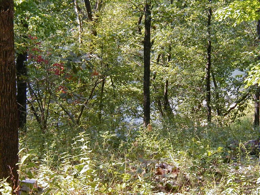 341 Loop, Jay, OK 74346 - See Est. Value, Schools & More