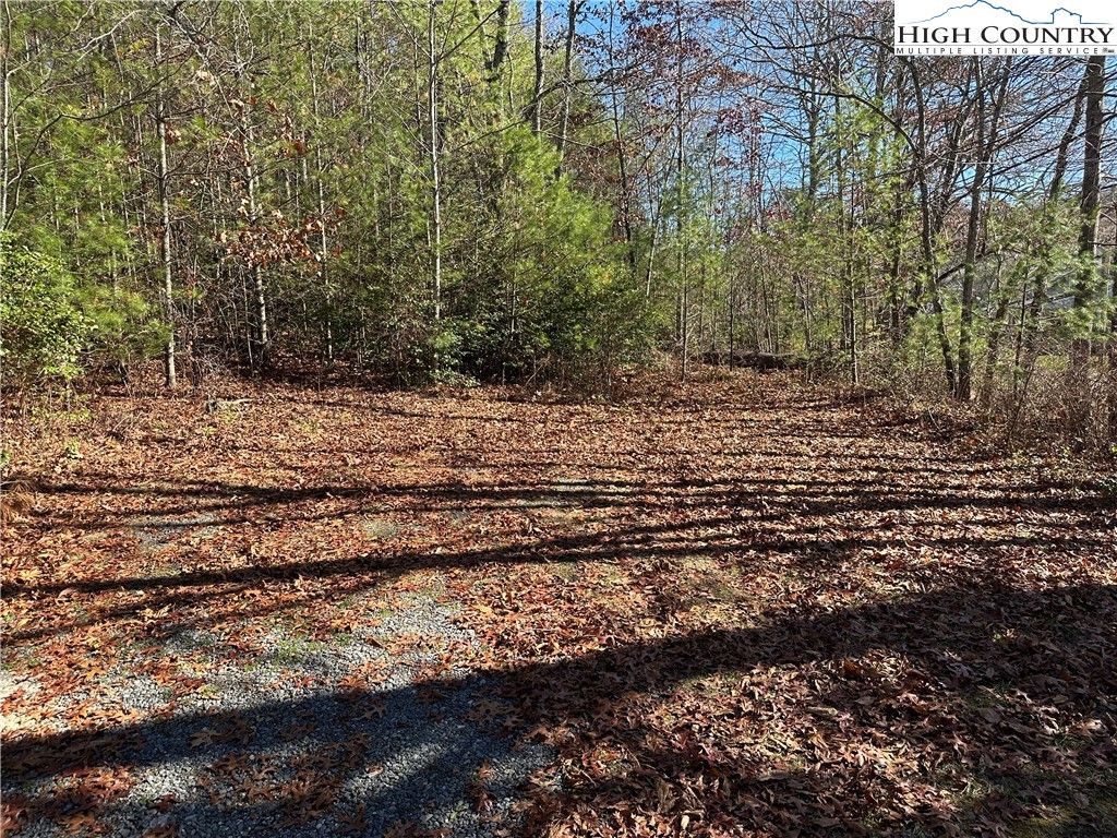 0 Popular Street, Newland, NC 28657 - See Est. Value, Schools & More