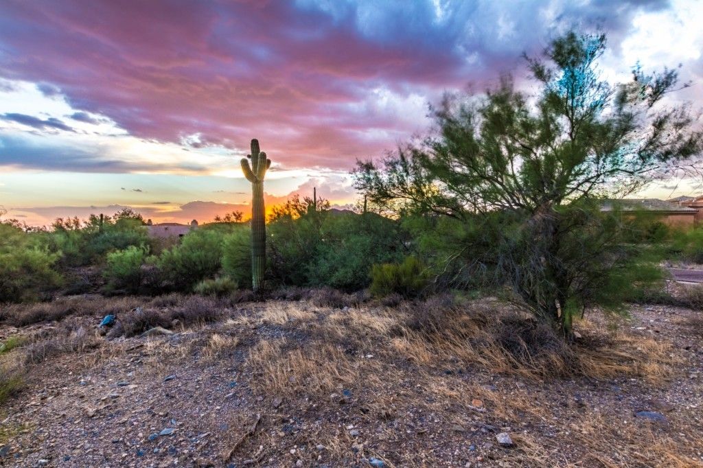 5525 E Canyon Ridge North Dr, Cave Creek, AZ 85331 - See Est. Value ...