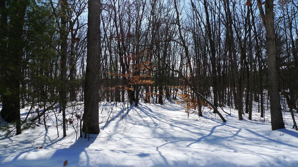 Rumur Ln, Pierson, MI 49339 - See Est. Value, Schools & More