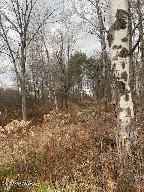 115 Shust Rd, Greenfield Township, PA 18407 | MLS# PW235317 | Trulia