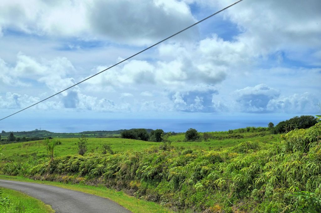 Pepeekeo, Hilo, HI 96720 - See Est. Value, Schools & More