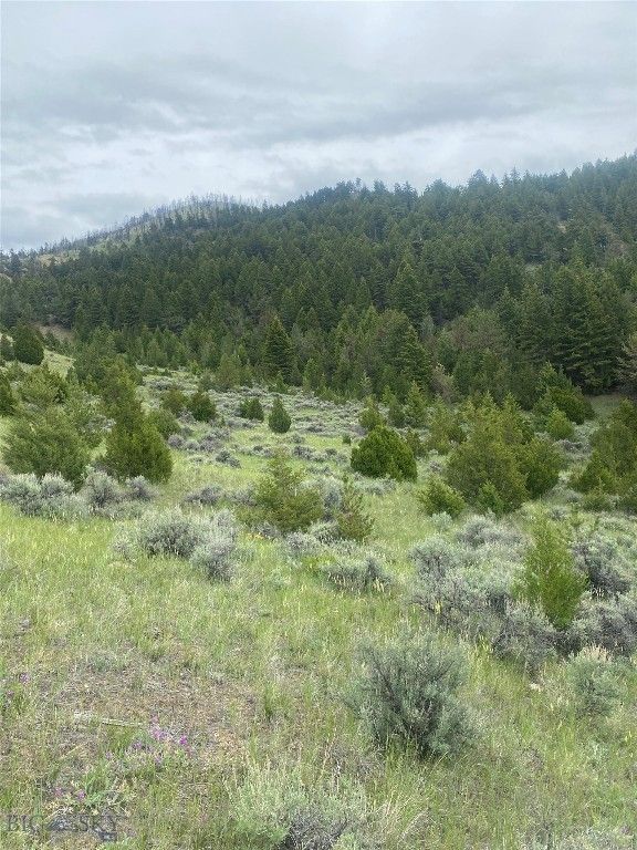 276 Lone Wolf Trl, Three Forks, MT 59752 - See Est. Value, Schools & More