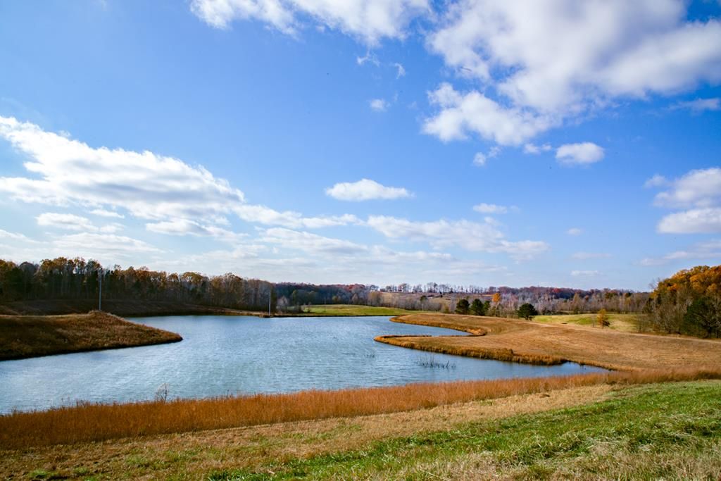 Parks well Rd, Gleason, TN 38229 - See Est. Value, Schools & More