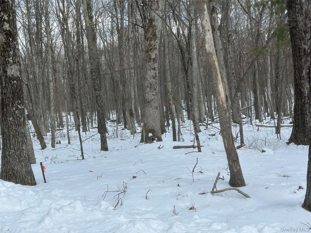 Purple Sage Drive, Barryville, NY 12719 | MLS# 952592 - Trulia | Trulia