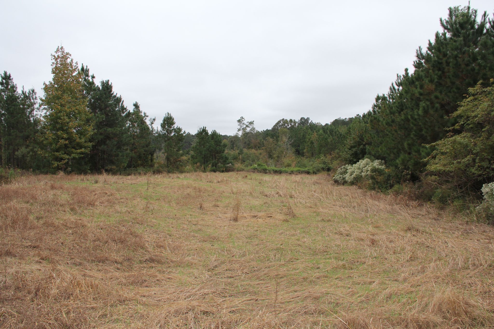 Highway 84 W #WP001, Roxie, MS 39661 | Trulia