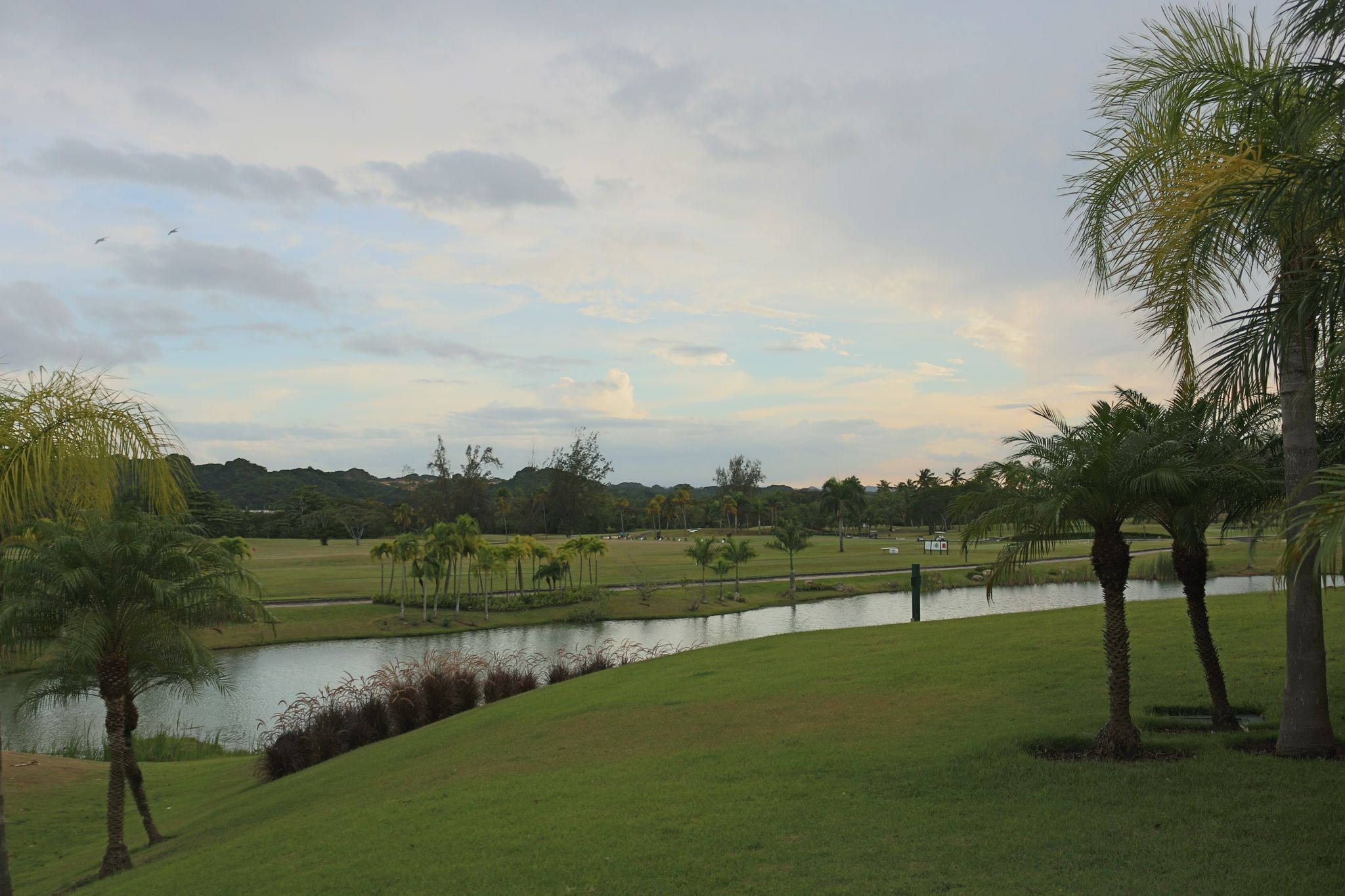 Plantation Vlg, Dorado, PR 00646 - See Est. Value, Schools & More