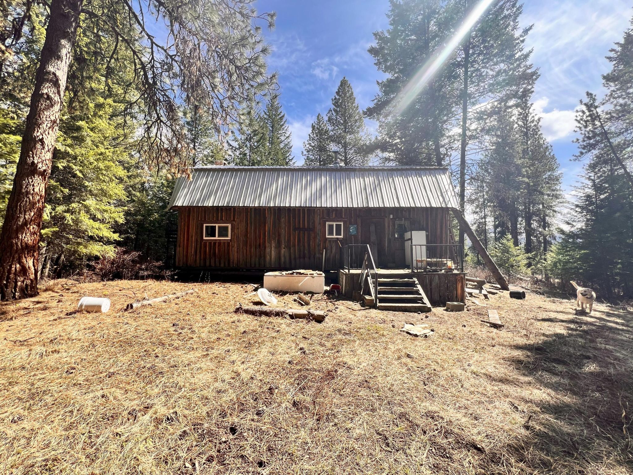 173 Otis Rd, Malo, WA 99150 | MLS# 43093 | Trulia