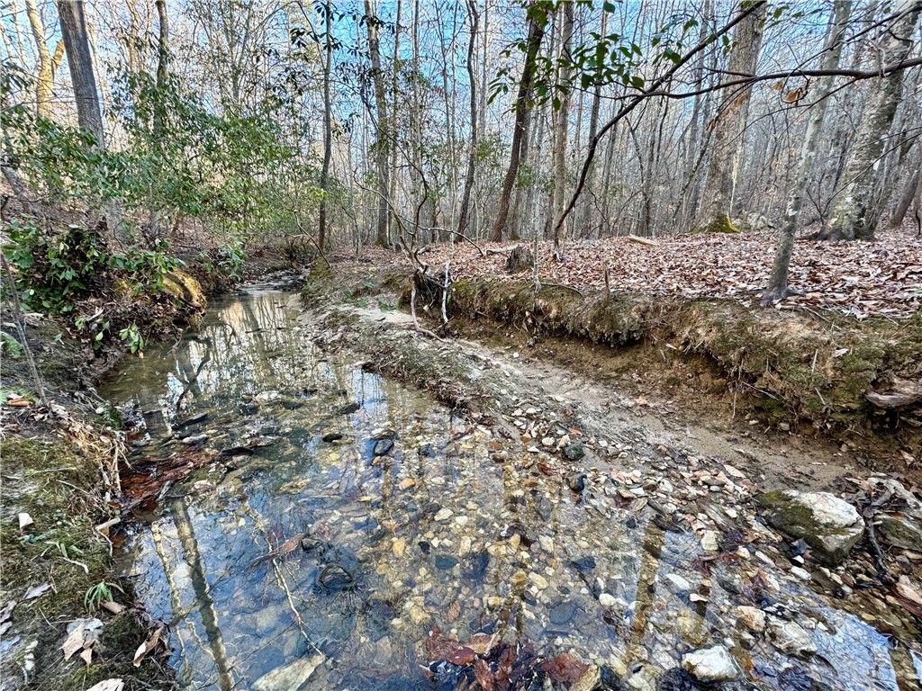 00C Rock Cut Rd, Smyrna, SC 29743 - See Est. Value, Schools & More