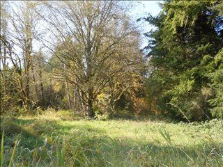 Ray Rd, Elma, WA 98541 - See Est. Value, Schools & More