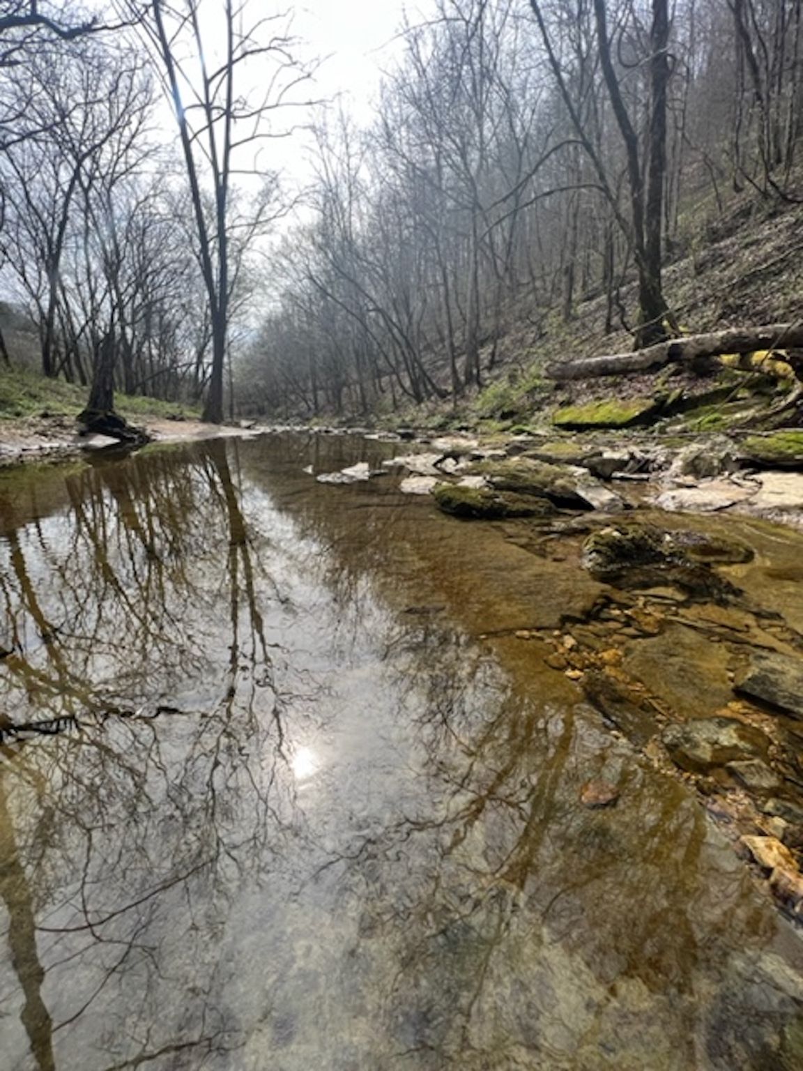 Brimstone Creek Rd #WP001, Moss, TN 38575 - See Est. Value, Schools & More