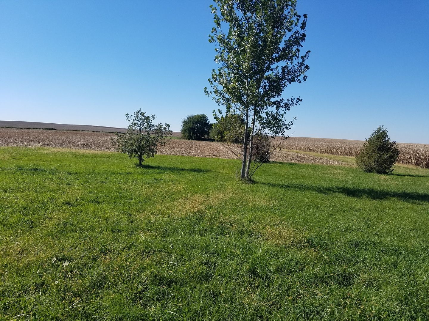 2300 County Highway 32, Gifford, IL 61847 - See Est. Value, Schools & More