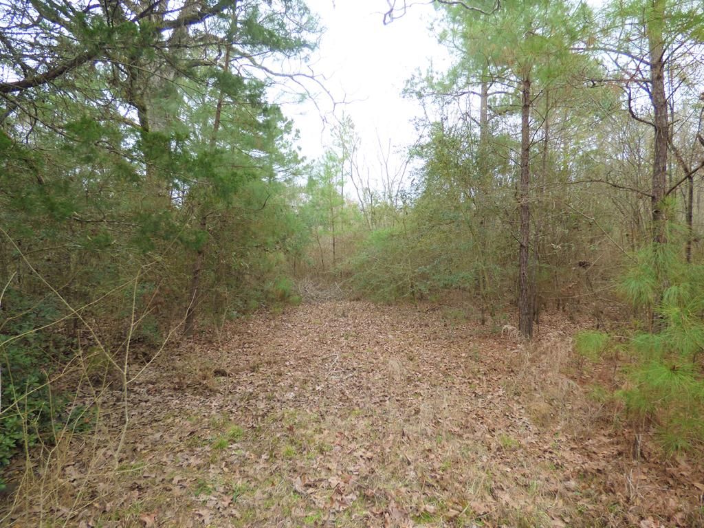4815 W Barron Rd, Smithdale, MS 39664 | Trulia