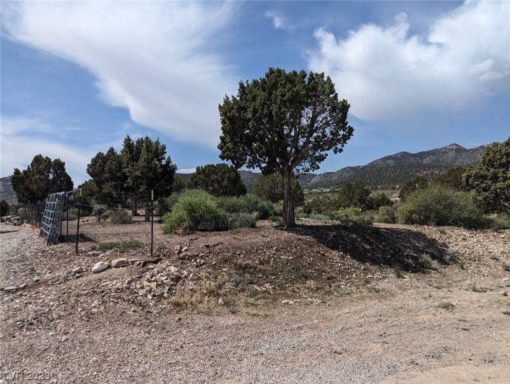 Blue Spruce St, Pioche, NV 89043 - See Est. Value, Schools & More