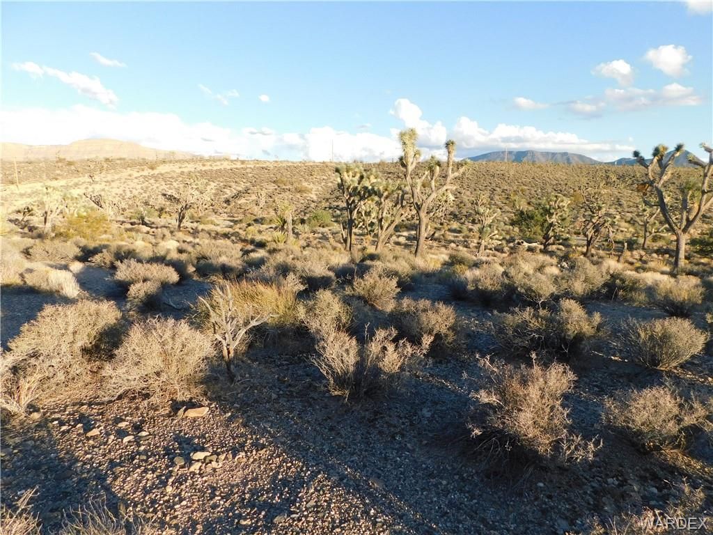 27116 N Tamarisk St, Meadview, AZ 86444 - See Est. Value, Schools & More