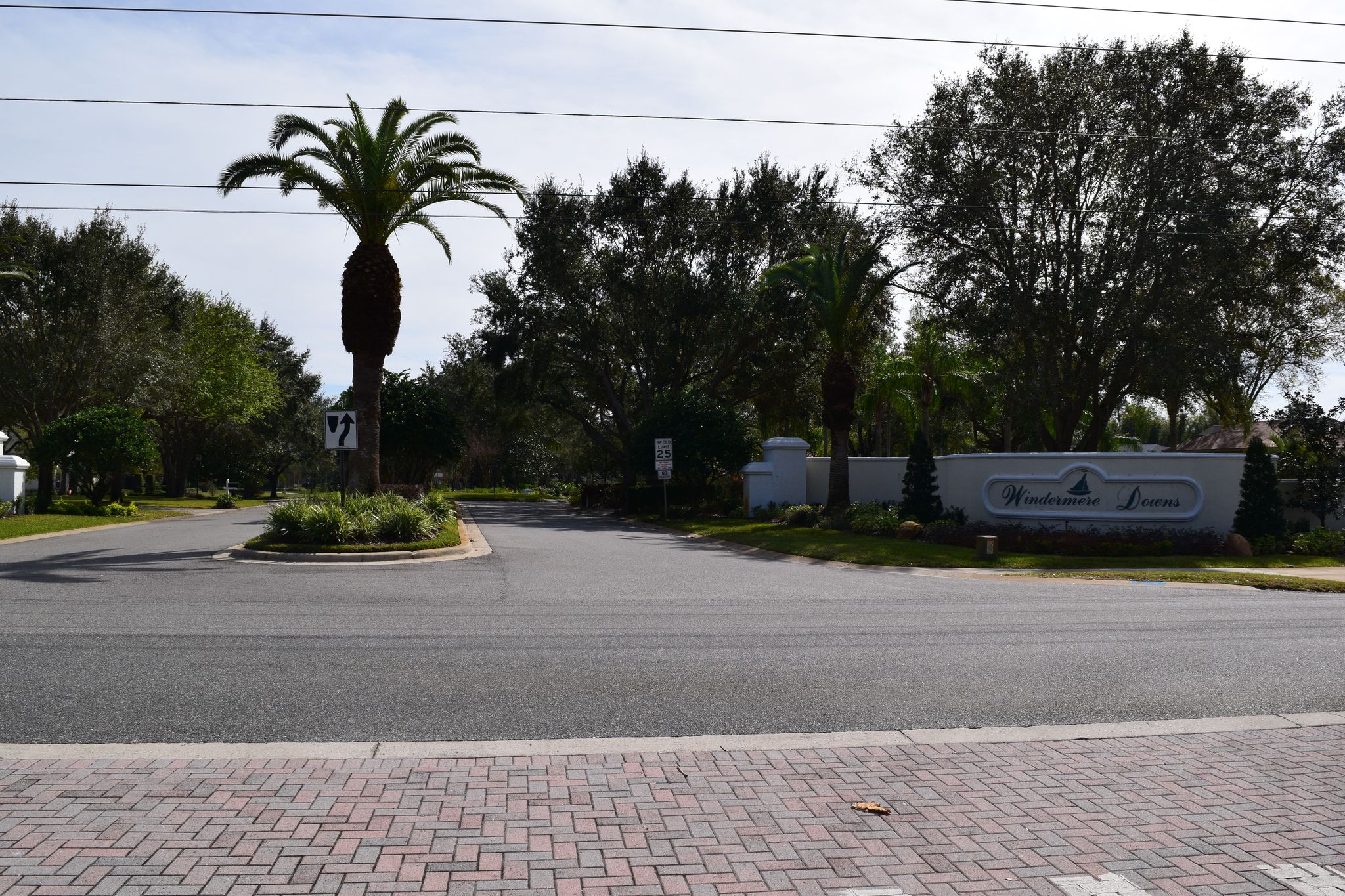 10365 Birch Tree Ln, Windermere, FL 34786 - See Est. Value, Schools & More