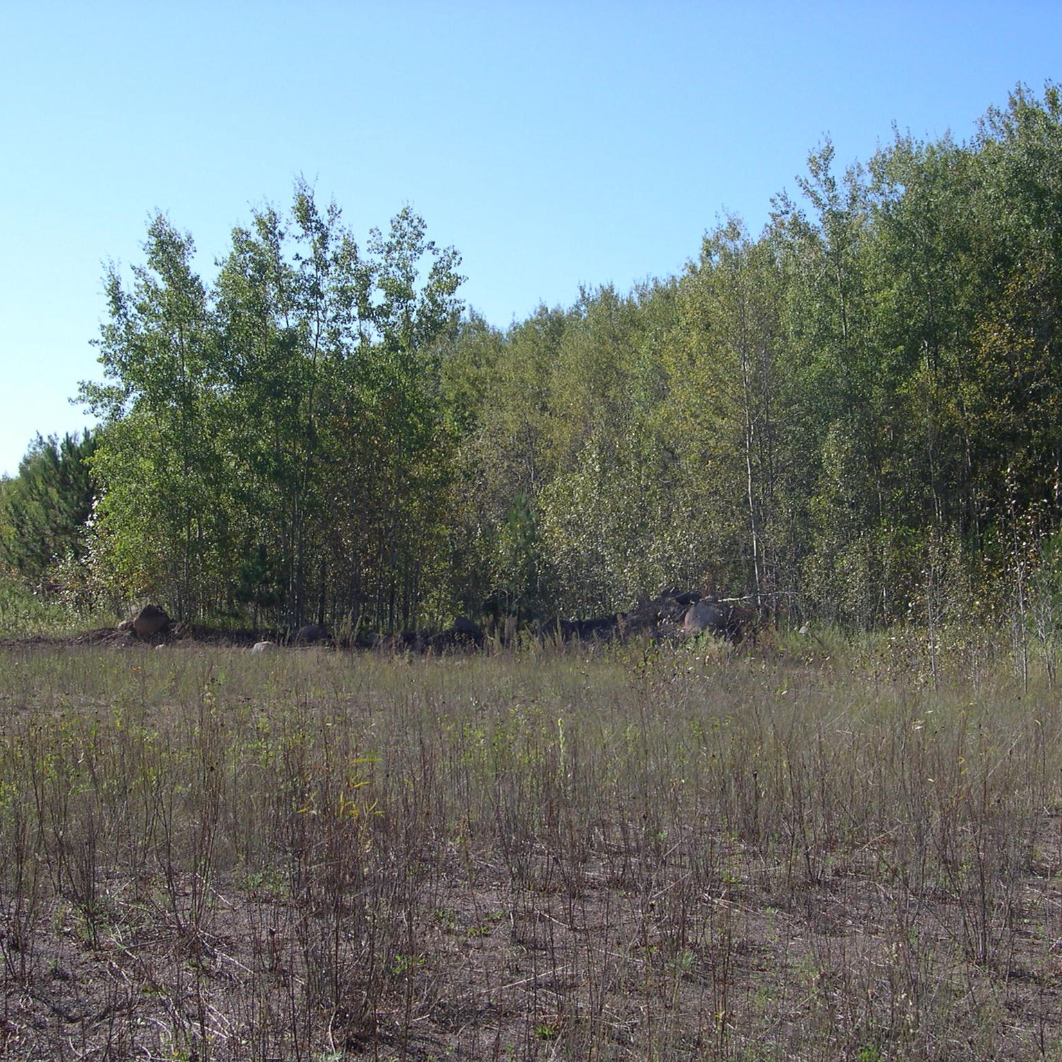 Maple Grove Road and Cn Railway, Solway Township, MN 55810 - See Est ...