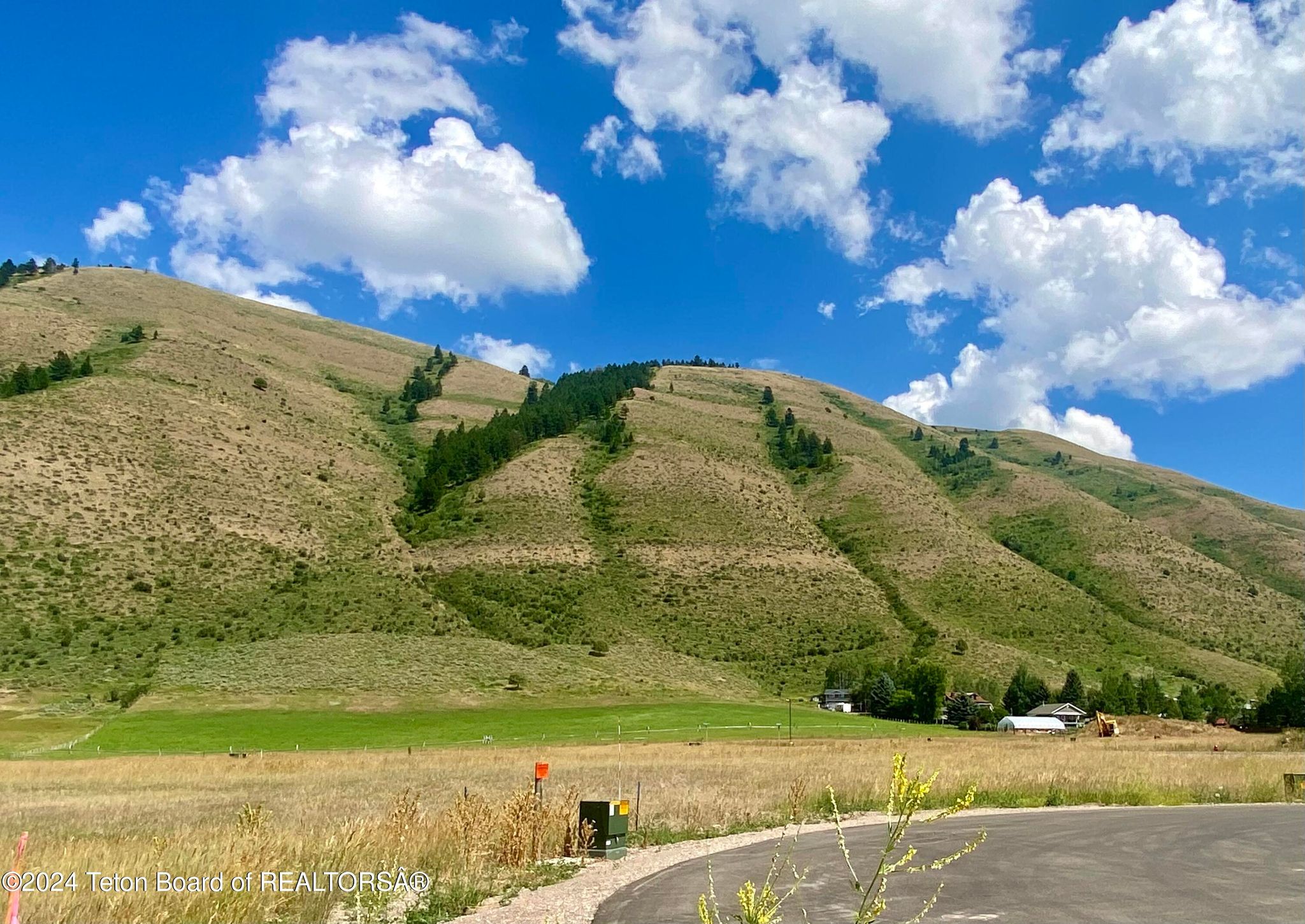 20 Arrow Leaf Ct, Afton, WY 83110 | MLS# 24-1979 | Trulia