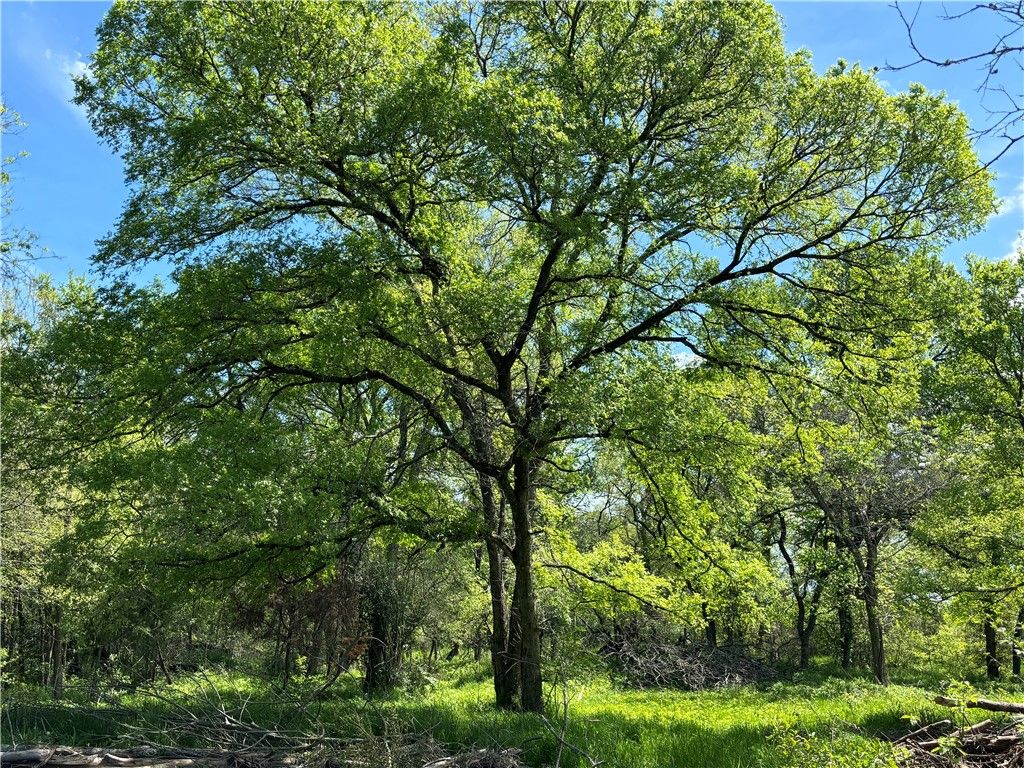 1/WILLIAM South Rd, Waco, TX 76705 - See Est. Value, Schools & More