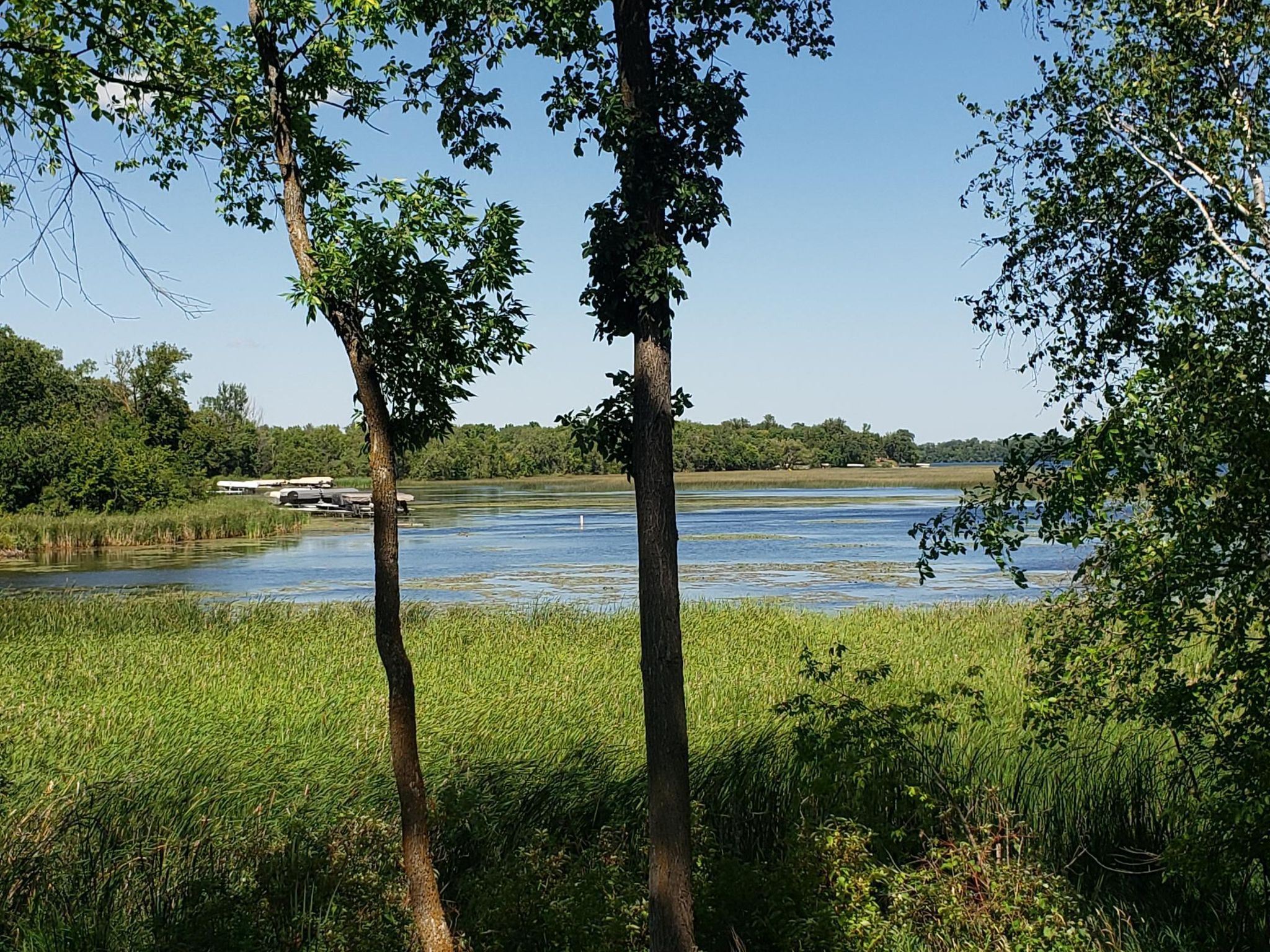 Ida, Alexandria, MN 56308 | Trulia