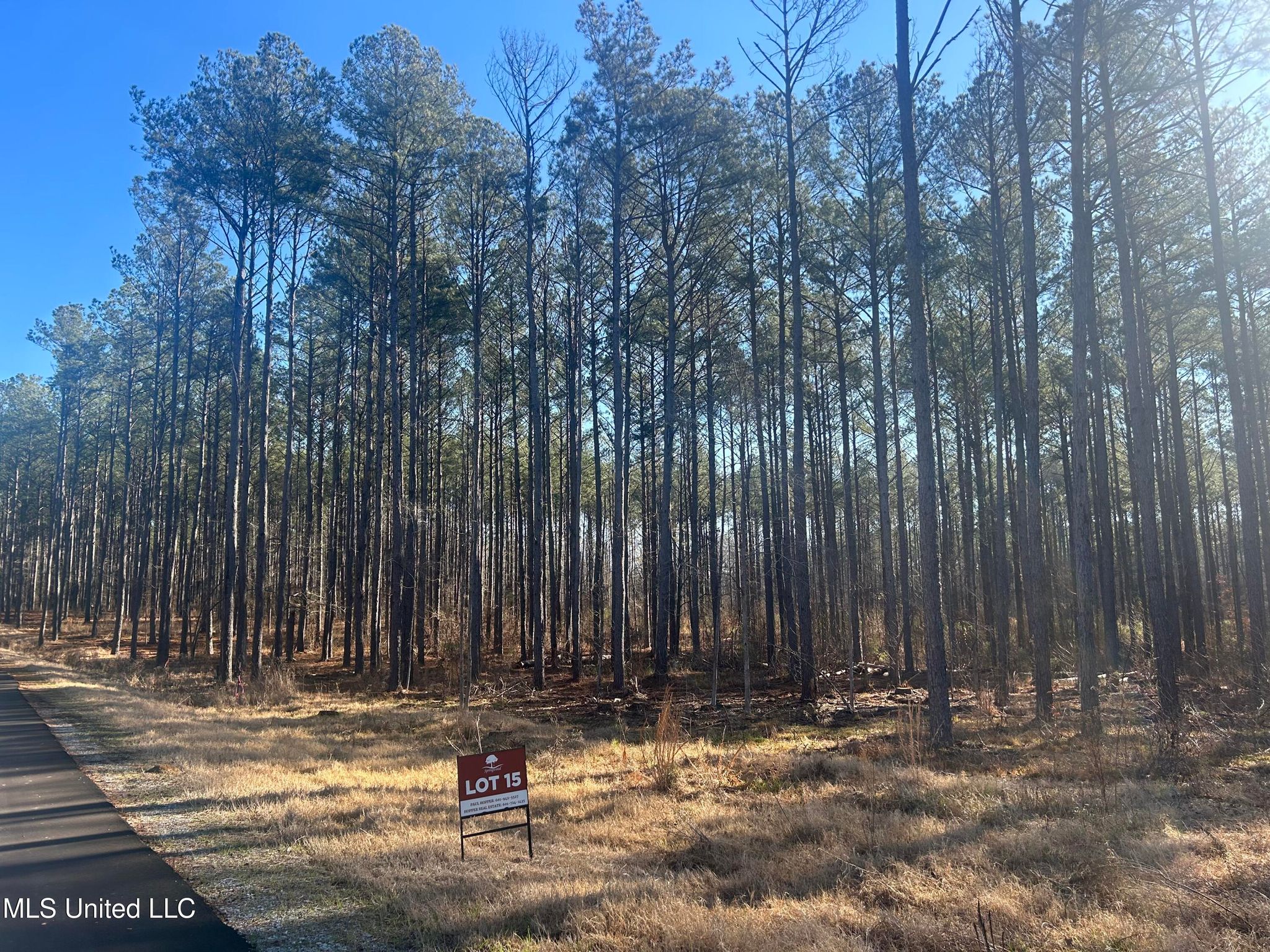 Springwood Trl #15, Flora, MS 39071 | MLS# 4103012 | Trulia