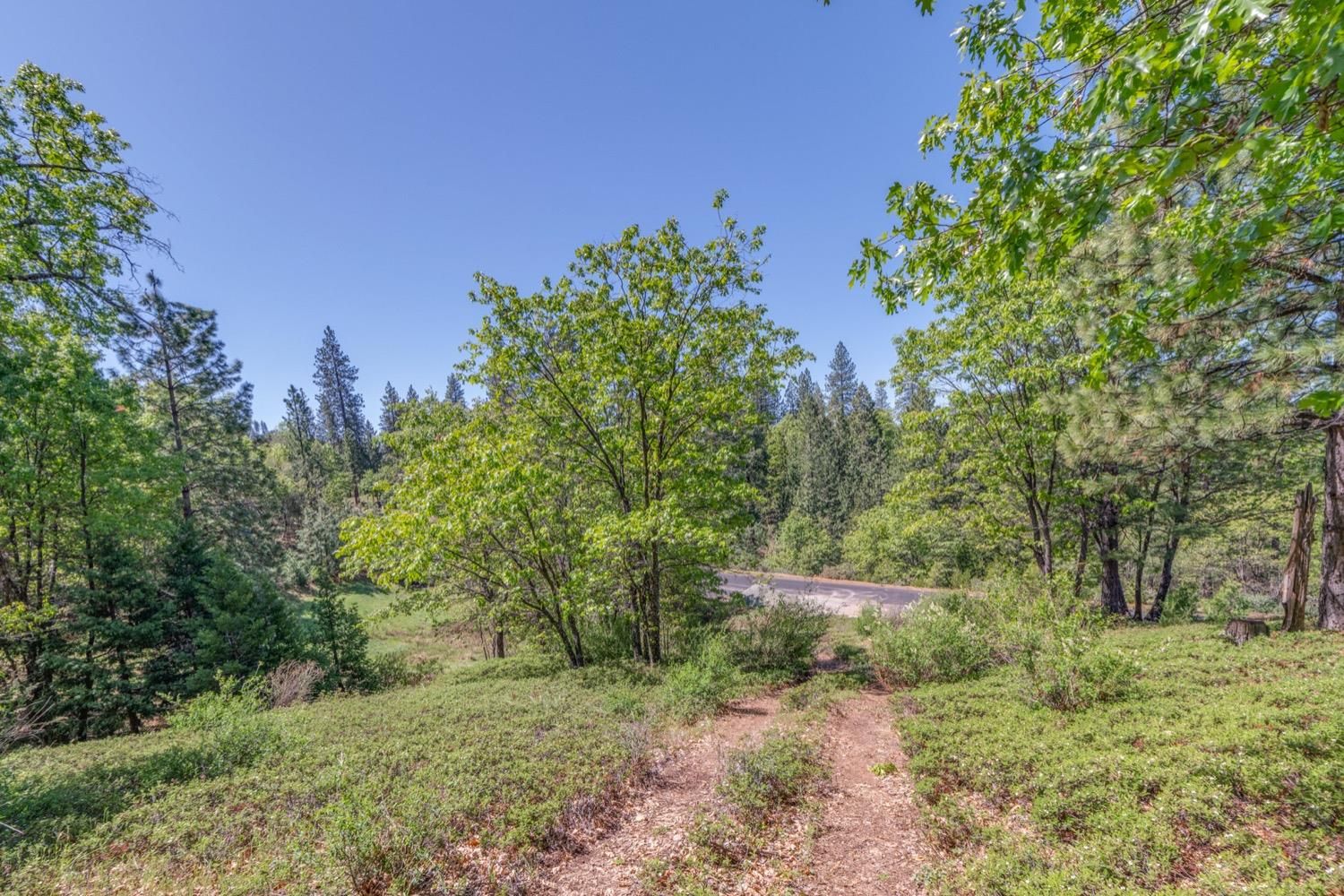 216 Red Apple Dr, Murphys, CA 95247 - See Est. Value, Schools & More