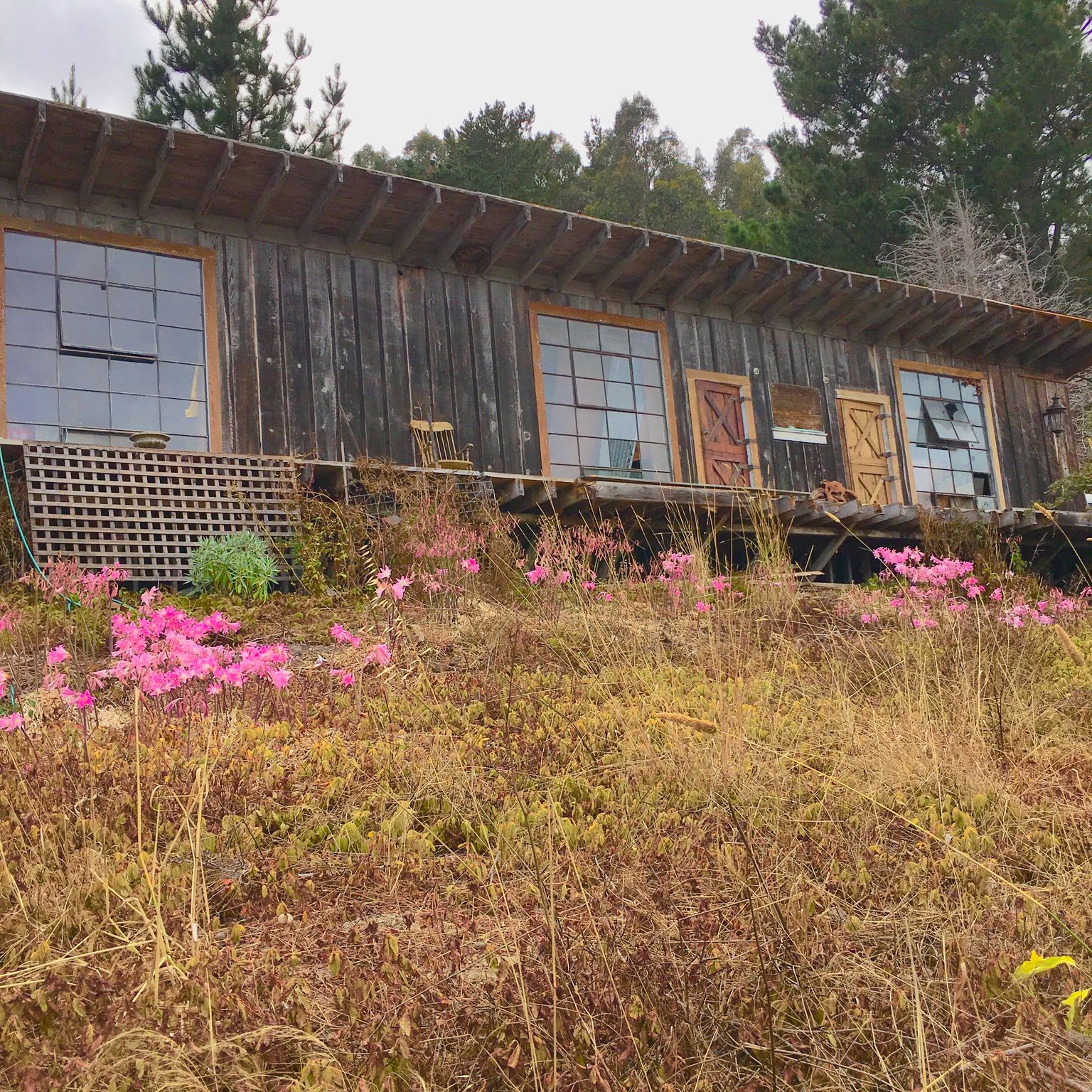 5631 Cloverdale Rd, Pescadero, CA 94060 - See Est. Value, Schools & More