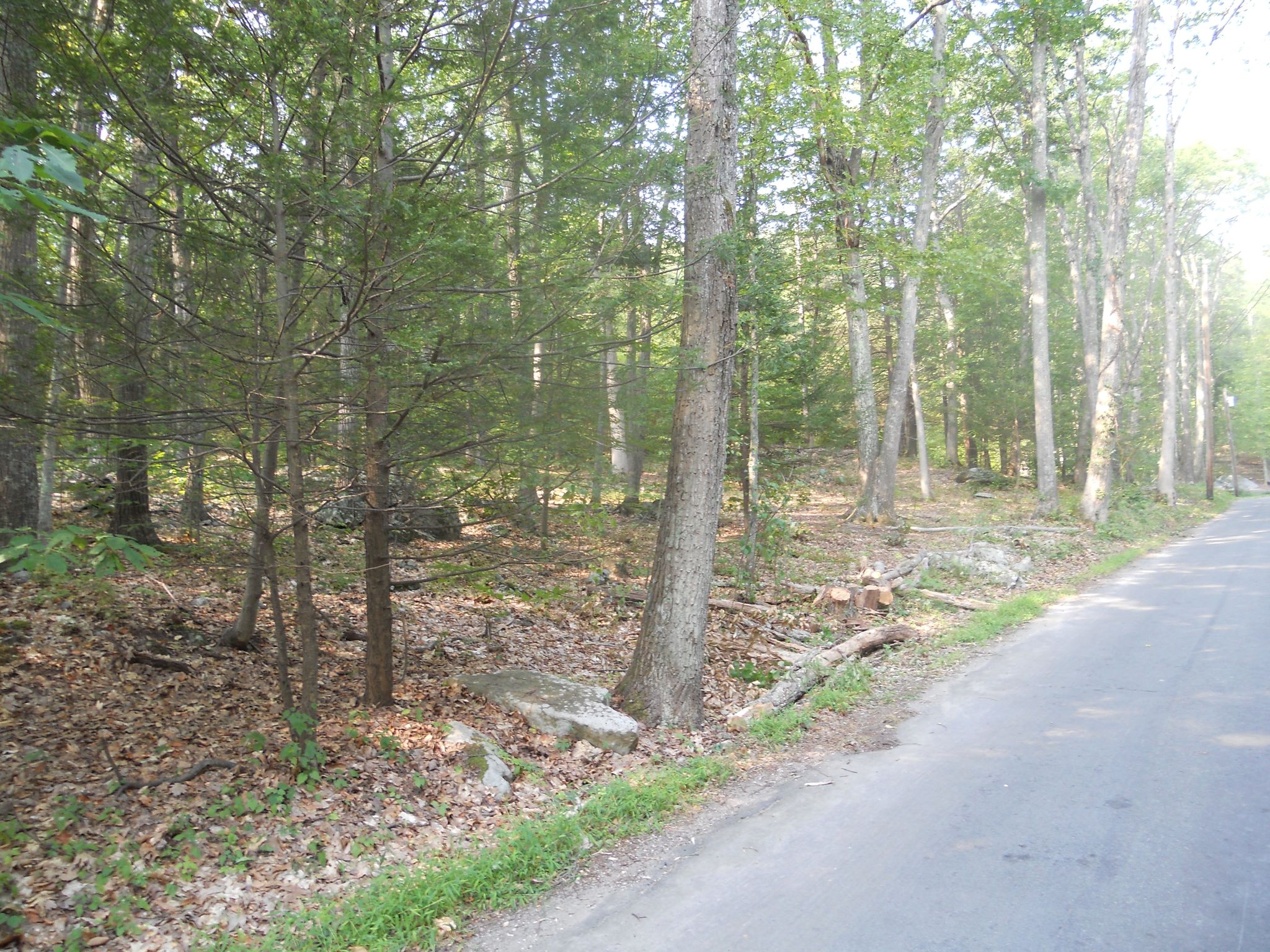 Benedict Rd, Montgomery, NY 12549 - See Est. Value, Schools & More