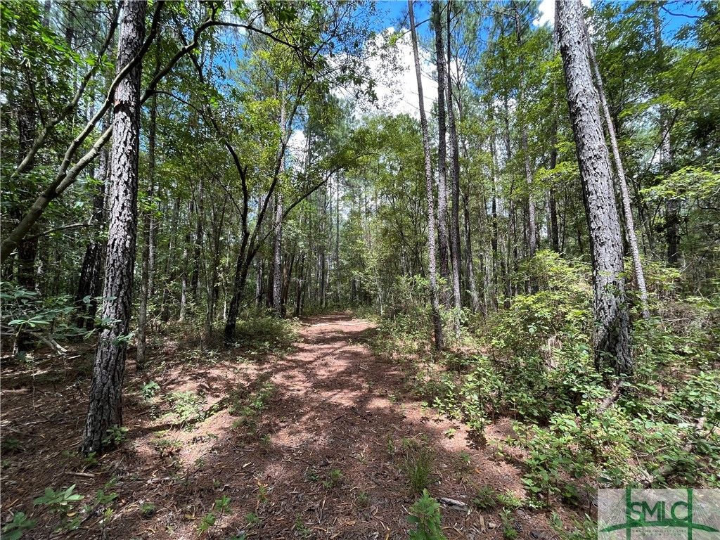 Sisters Ferry Rd, Clyo, GA 31303 | MLS# 320099 | Trulia