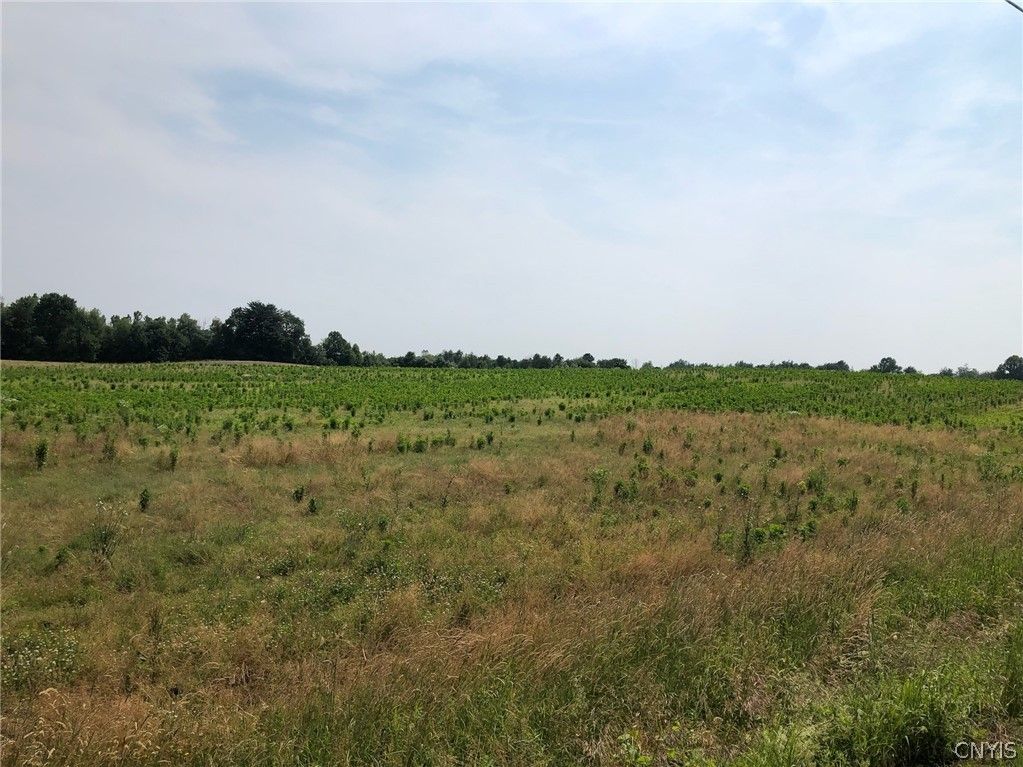 Dutch Ridge Rd #7, Oswego, NY 13126 | MLS# S1547108 | Trulia