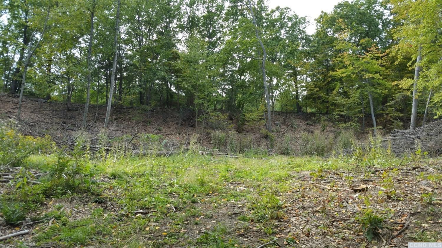 Fowler Lake Rd, Ghent, NY 12075 - See Est. Value, Schools & More