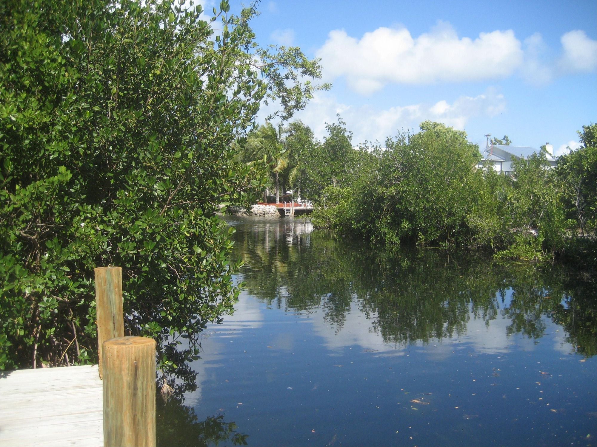 1707 Narcissus Ave, Big Pine Key, FL 33043 - See Est. Value, Schools & More