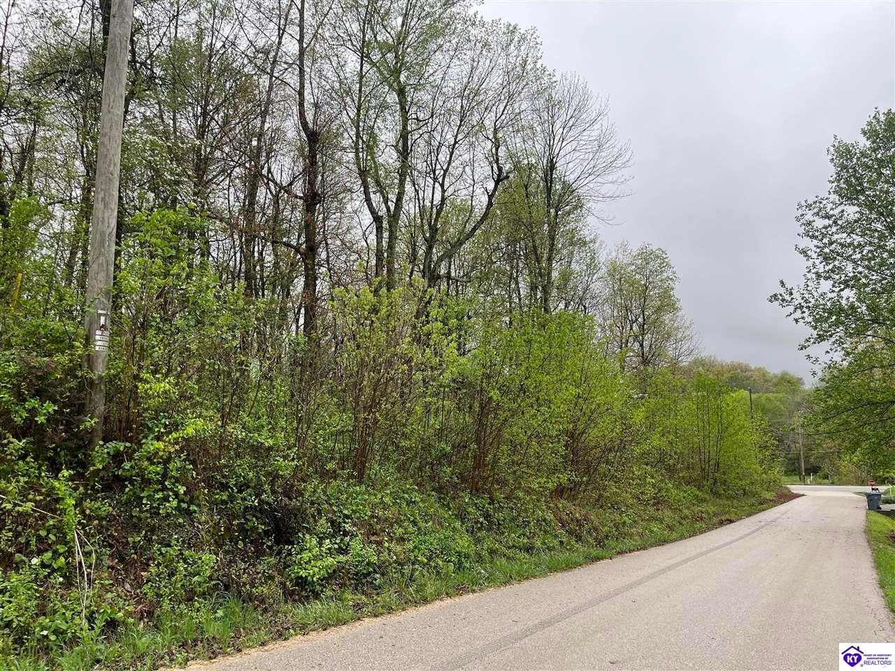 10 Lcpl Hanson Usmc Rd, Buffalo, KY 42716 | Trulia