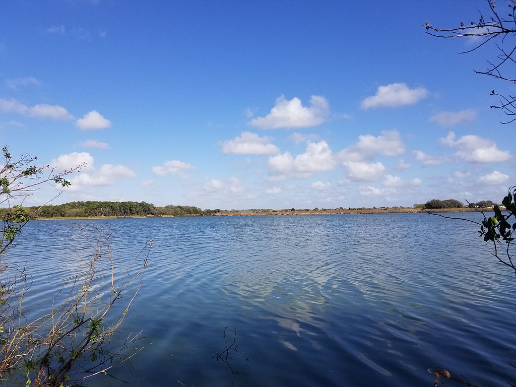 15207 Carlton Lake Rd, Wimauma, FL 33598 - See Est. Value, Schools & More