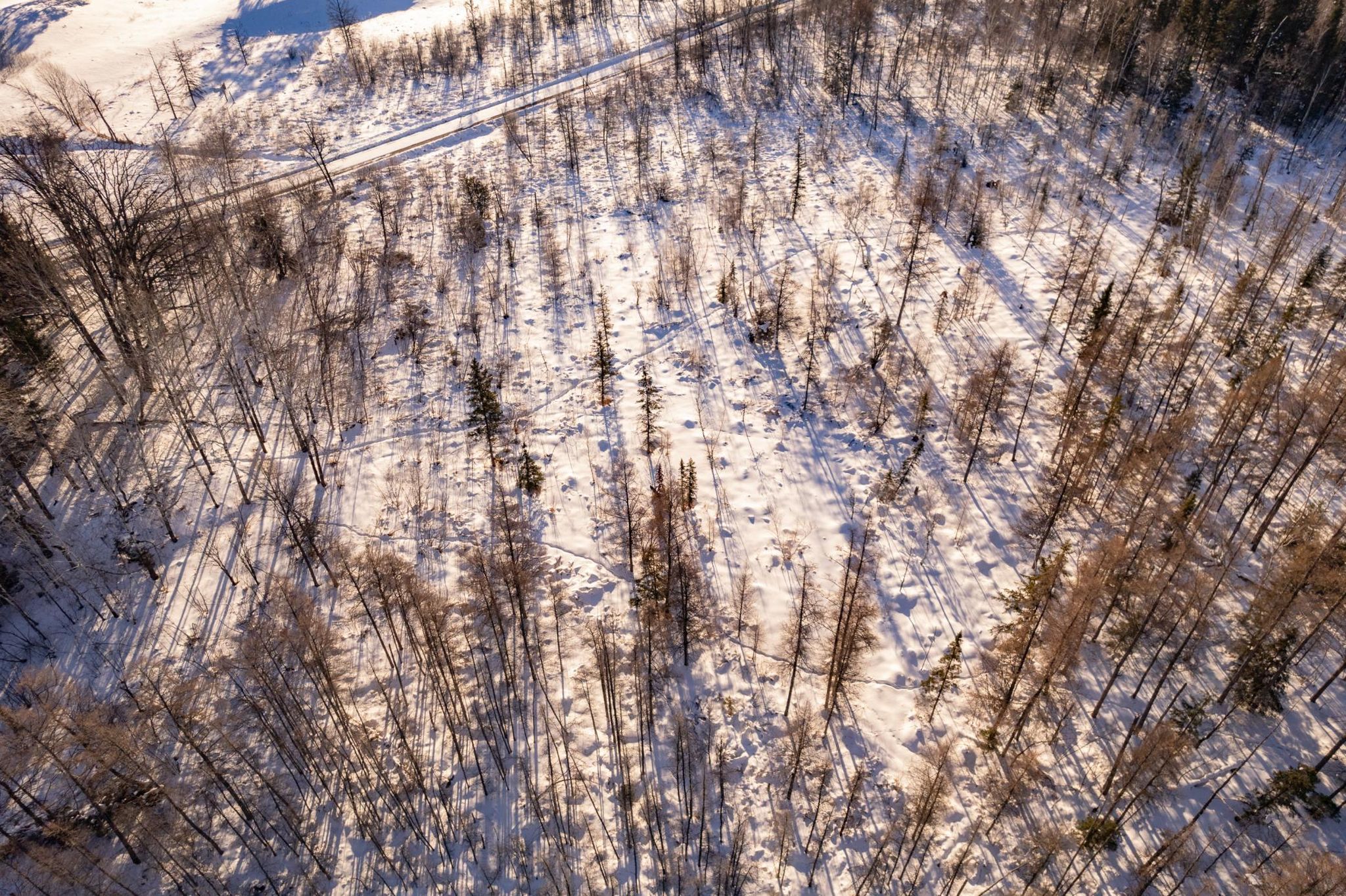 228th St, Osage, MN 56570 - See Est. Value, Schools & More