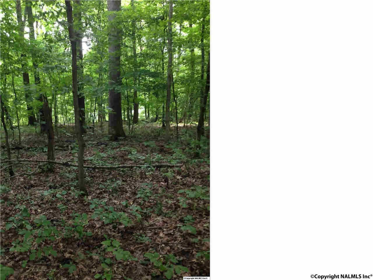 132 Candice Dr, Toney, AL 35773 - See Est. Value, Schools & More